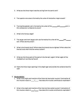 Lab BIOL By Q College TPT
