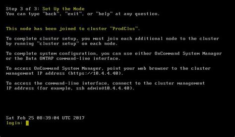 Remote Infrastructure Management Netapp Ontap 9 1 Cli Cluster Setup