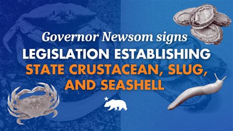 Claws For Celebration Governor Newsom Signs Legislation Establishing