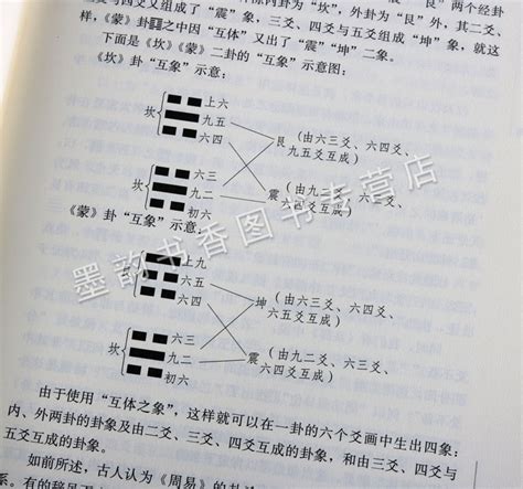 周易概论 增补修订本 刘大钧著作周易研究经典解析周易卦变占筮易学研究附周易六十四卦原文全译中国哲学经典巴蜀书社的正版书籍 虎窝淘