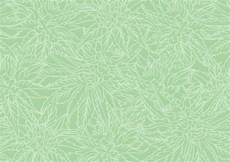 Entry 85 By Jeanforhire For Turn Photo Into Vector By Illustration Freelancer