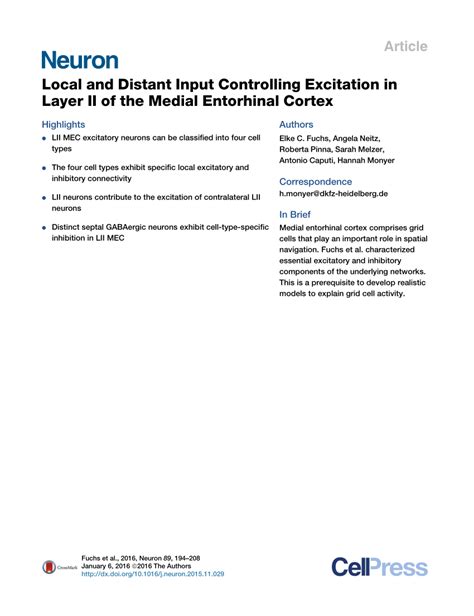 Pdf Local And Distant Input Controlling Excitation In Layer Ii Of The Medial Entorhinal Cortex