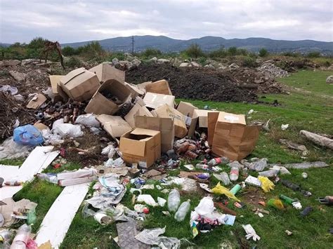 კახეთში ნარჩენების მართვის კოდექსის დარღვევის ფაქტი გამოავლინეს Knews Ge