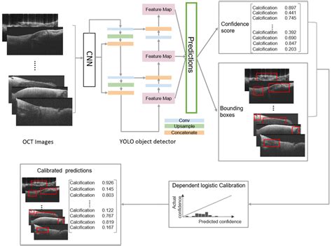 The Schematic Of Yolo Object Detector And Calibration Download Scientific Diagram