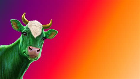 Soltech Case Reaktion