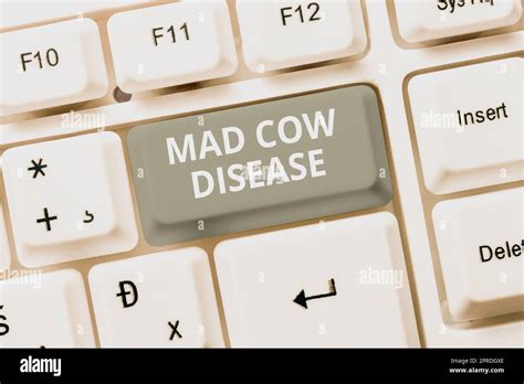 Handwriting Text Mad Cow Disease Business Idea Neurodegenerative Lethal Disease Contagious