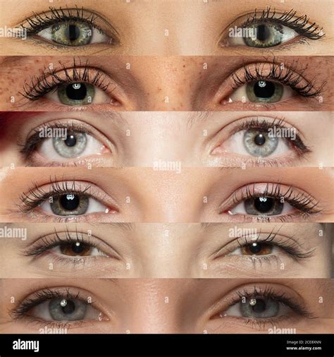 Different Types Of Eyes Colors