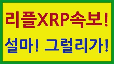 리플 코인 전망 설마 그럴리가 여러가지 논란들 Youtube