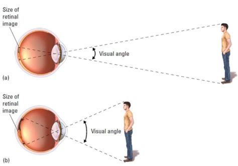 Spatial Vision Flashcards Quizlet