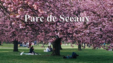 Paris 파리 벚꽃 • 4월의 겹벚꽃 • 쏘공원 파리일상 • 파리풍경 • 파리감성 파리브이로그 Youtube
