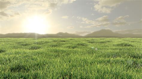 Grassy Plain Plains Landscape Landscape Scenery Grassy Plain Plains Landscape Landscape Scenery