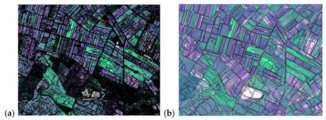 Different Segmentations Are Superimposed To A Detail Of The Input Download Scientific Diagram