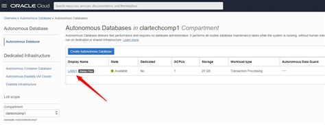 Crear un Clon de una Base de Datos Autónoma Aprender Tecnologías Oracle APEX Toad y mucho más