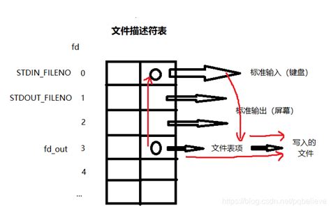 Linux中文件描述符的复制 Dup2函数（过程详解）dup2 Stdin Csdn博客