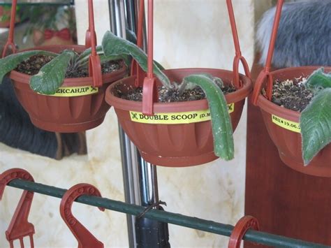 Принтер для печати наклеек Brother Pt H100 в офисе и дома