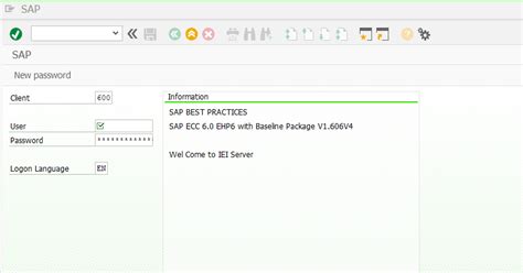 SAP BASIS MADE EASY SAP BASIS Browser As GUI