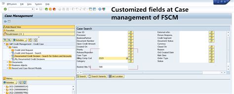 Customized Fields At Case Management Of Fscm Sap Community
