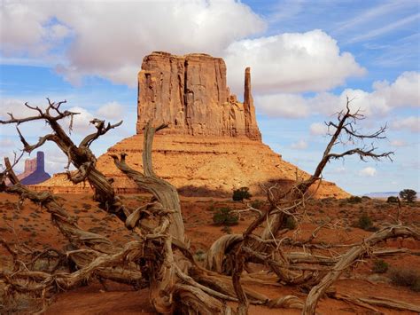 20181012135625 Chris M Regier