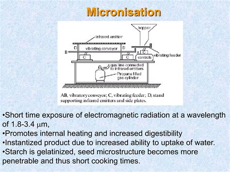 Role Of Engineering Principles And Mathematical Modeling Ppt