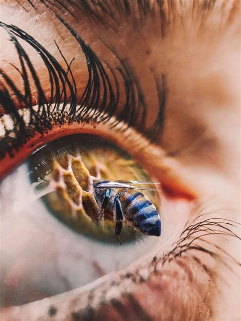 Eye And Bee Manupulation Queen Bees Fantasy Eyes Photo Tattoo Ideas