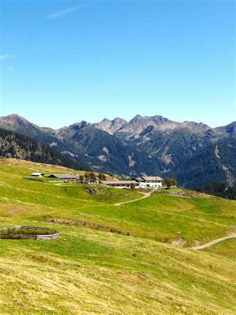 Mexicanmenwithbigcocks Photos Download The Best Free Mexicanmen