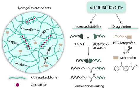 Multicomponent Alginate‐derived Hydrogel Microspheres Presenting Hybrid Ionic‐covalent Network