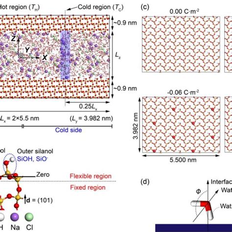Schematic Of The Md System Setup A Simulation Box Showing Dimensions Download Scientific