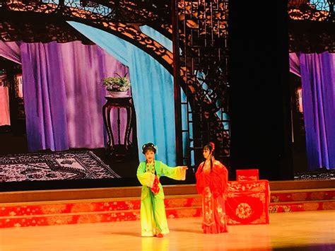 天长景鸿扬剧团演员扬剧家一级演员扬州扬剧稽丽第11页大山谷图库