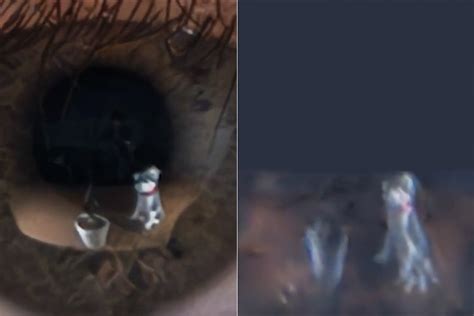 Researchers Use Nerf Ai Neural Network To Reconstruct 3d Images From