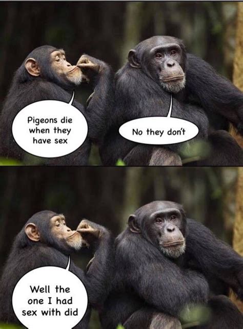 At The Intersection Of Gross Sex Humour And ‘lel So Randem Xd Lies