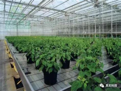 溫室建設的特點和原則 每日頭條