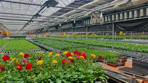 양주시 Ict활용 화훼재배 기반구축 시범사업 추진생력화 기술개발 보급 박차