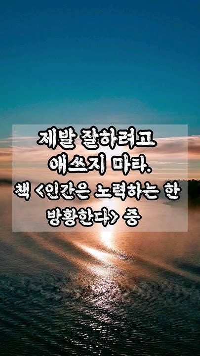 감동좋은글 제발 잘하려고 애쓰지마라 인간은 노력하는 한 방황한다 지식 명언 동기부여 좋은글 자기계발