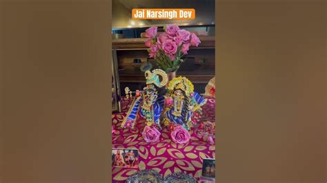 Jai Narsingh Dev Ramanandadasaphd Bhakti Shorts Youtube