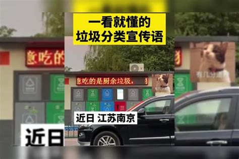 一看就懂的垃圾分类宣传语！这也太有才了吧！特别形象的教我们区分 分类 宣传 垃圾