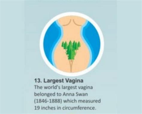 The Most Interesting Sex Related World Records In Human History 21 Pics