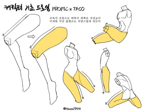 타코작가 On Twitter Taco Drawing Drawing Tutorial Body Reference Drawing