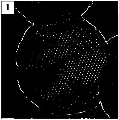 Preparation Method Of Ordered Mesoporous Nano Silica Microspheres Eureka Patsnap