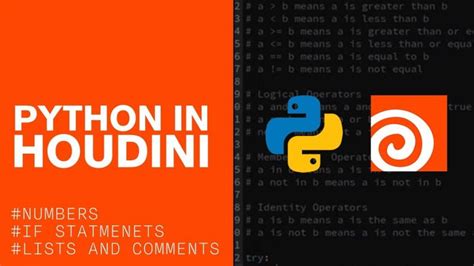 Python In Houdini Numbers If Statmenets Lists And Comments Rebelway