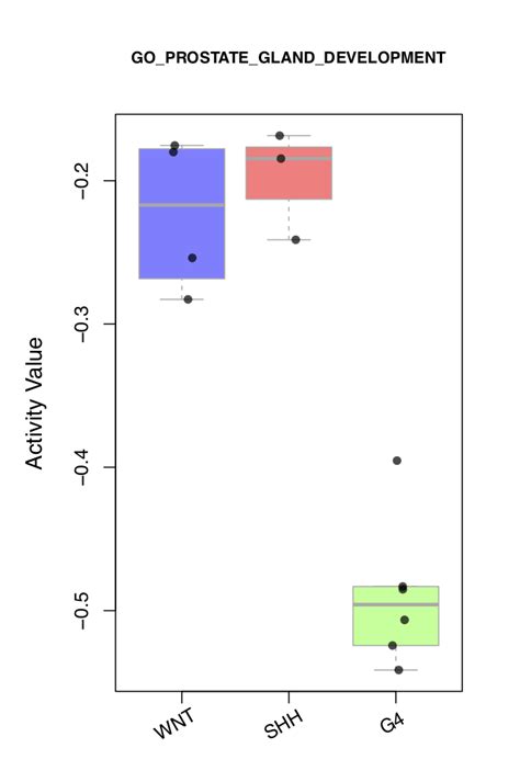 Advanced Analysis Netbid