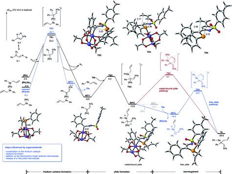 Influence Of Organoselenides On The Catalyst Ylide Intermediate And Download Scientific