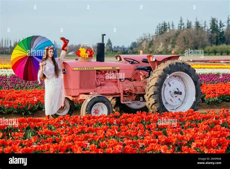 Woman Holding Colorful Umbrella Doing Split On Top Of Rusty Tractor Stock Photo Alamy