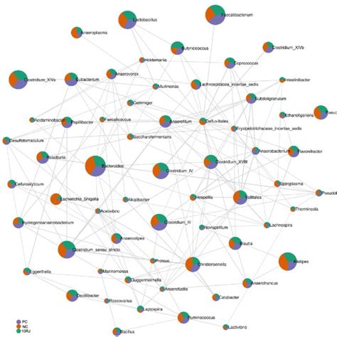 Microbial Network At Genus Level Based On Correlation Analysis Pc