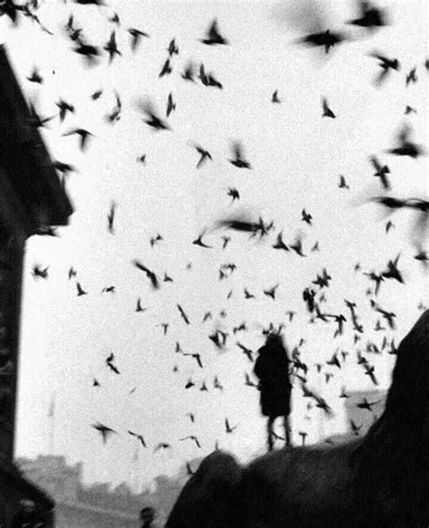 حسـود نیستم عکس ویسگون