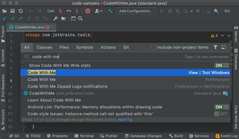 Code With Me 测试版：现已支持语音和视频通话 Jetbrains 博客