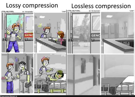 Lossless And Lossy Compression Know The Difference ProgrammerHumor Io