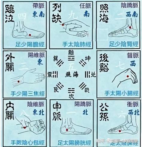医巽一坤针灸经络穴位歌诀汇总太值的收藏了二 知乎