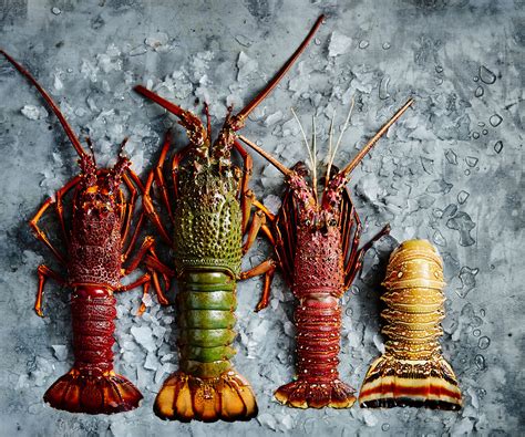 What Are The Different Types Of Crustaceans Gourmet Traveller
