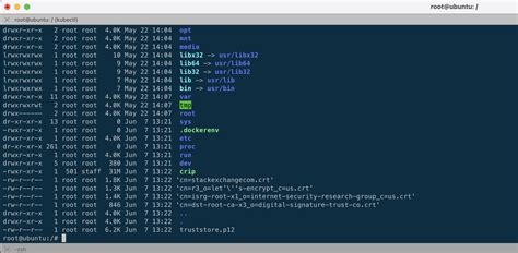 Doesn T Work In A Container Issue Hakky Certificate Ripper Github