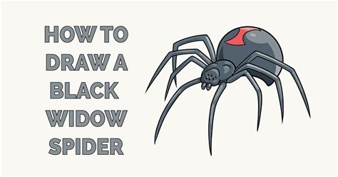 How To Draw A Black Widow Spider Really Easy Drawing Tutorial